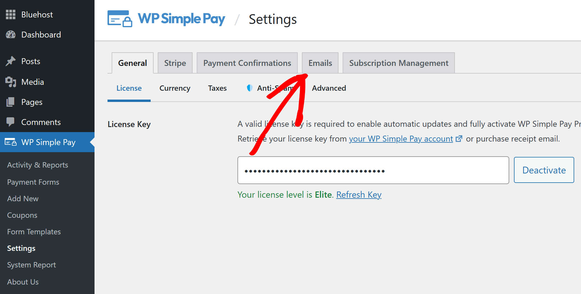 How To Fix Wordpress Not Sending Transactional Emails Issue